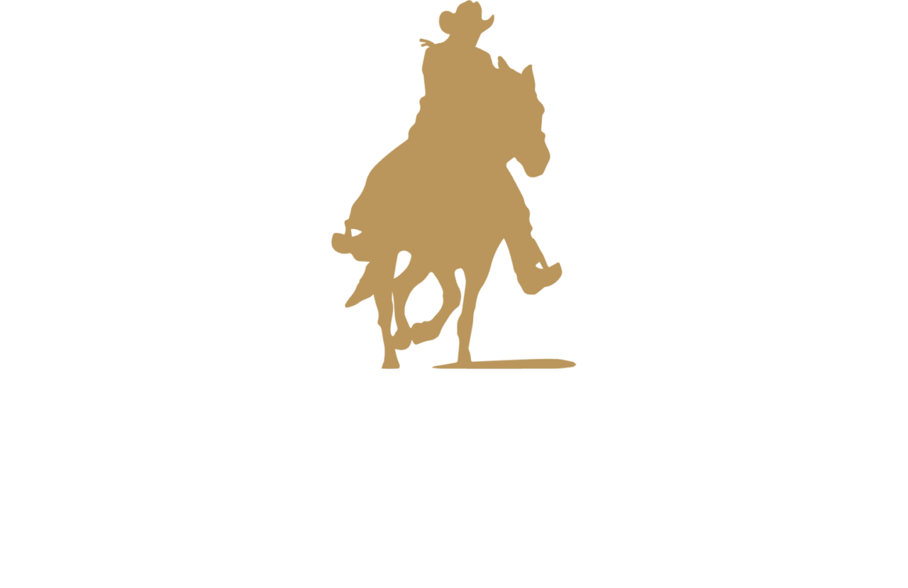 Lecavalier Cellars | Penryn and Newcastle Wine Tasting