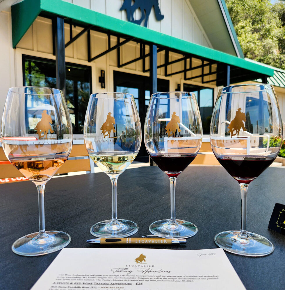 Wine Tasting Room in Newcastle | Friendly Wine Ambassadors